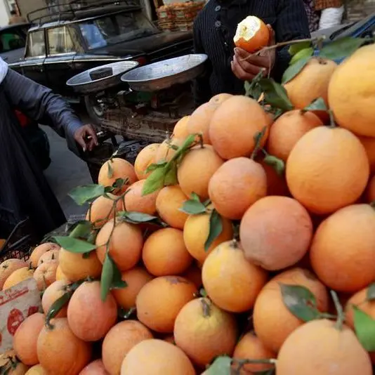 BRIEF: Egypt's SODIC Receives Award Letter For 500 Acre Plot In West Cairo