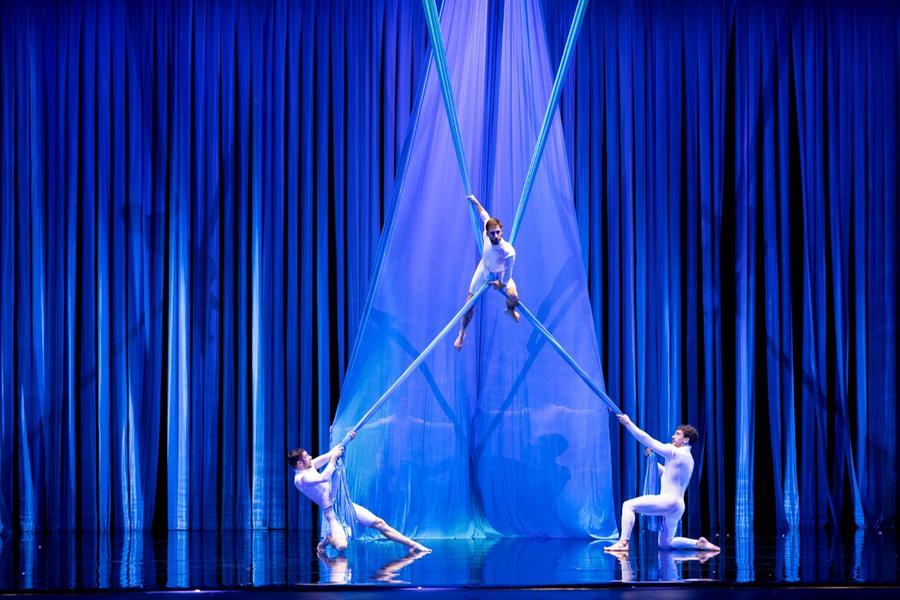The Arts Center at NYUAD to host unique family circus performance by ...