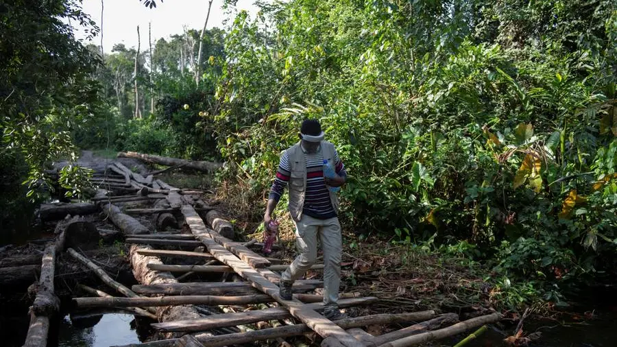 In Africa's monkeypox outbreak, sickness and death go undetected