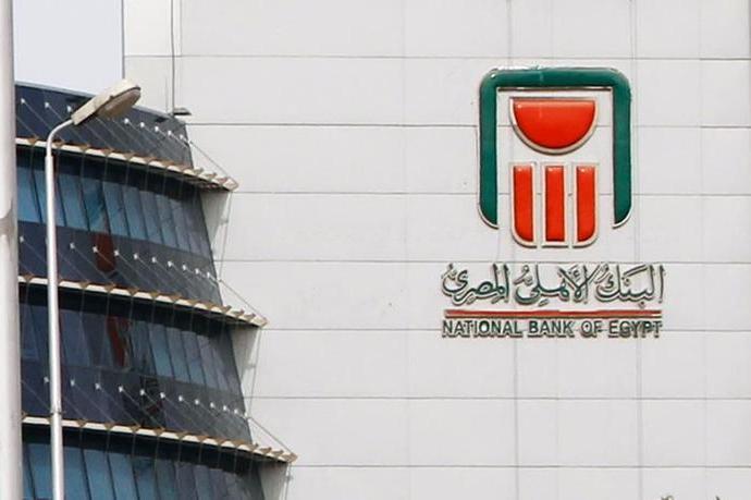 NBE: Banking Giant Diversifies Portfolio with Hyde Park Developments ...