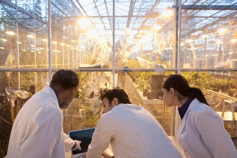 Efforts to educate students on farming: Bahrain