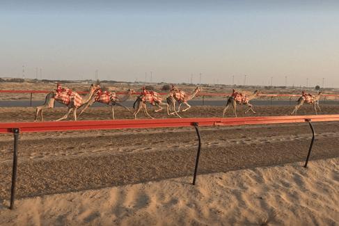 Fujairah Research Centre announces “significant leap forward” in racing ...