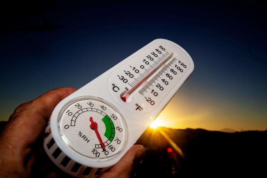 How does heat kill? It confuses your brain. It shuts down your organs. It overworks your heart.