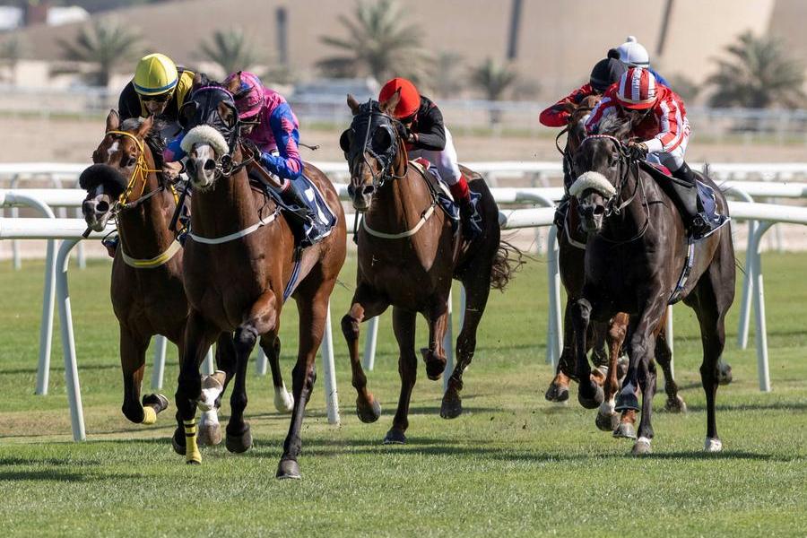 Stc Bahrain announces 10th year partnership with Rashid Equestrian and ...
