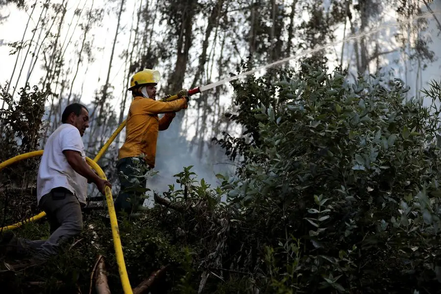 Colombia declares natural disaster over wildfires