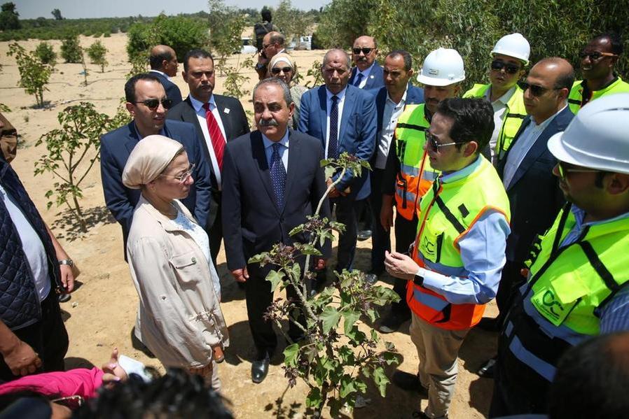 The Egyptian Minister of Environment and the Governor of Ismailia ...