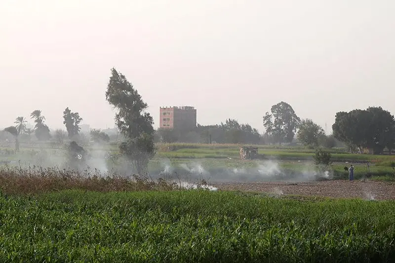 Greening the desert: Spanish-Egyptian project aims to transform barren ...