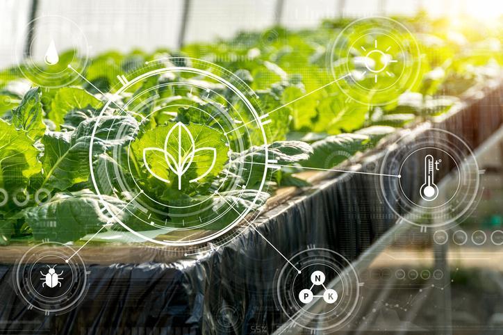 ADAFSA participates in Emirates Agriculture Conference and Exhibition 2025