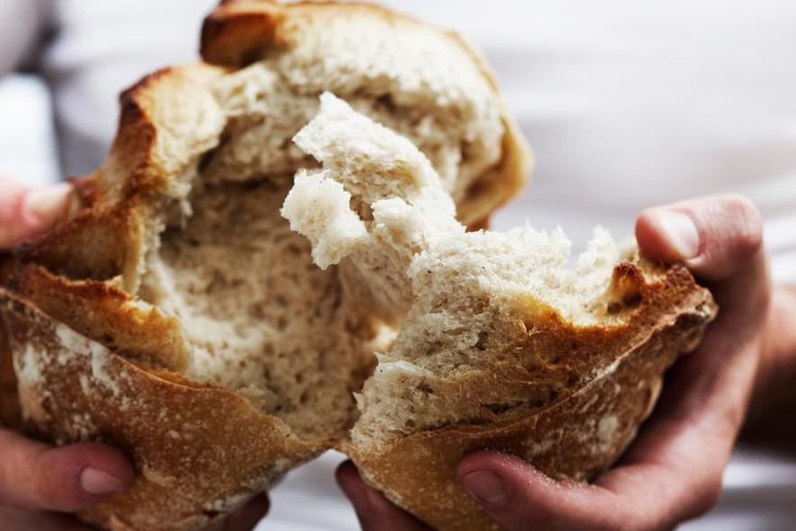 South Africa: Sasko halts bread production following 'rat in bread ...