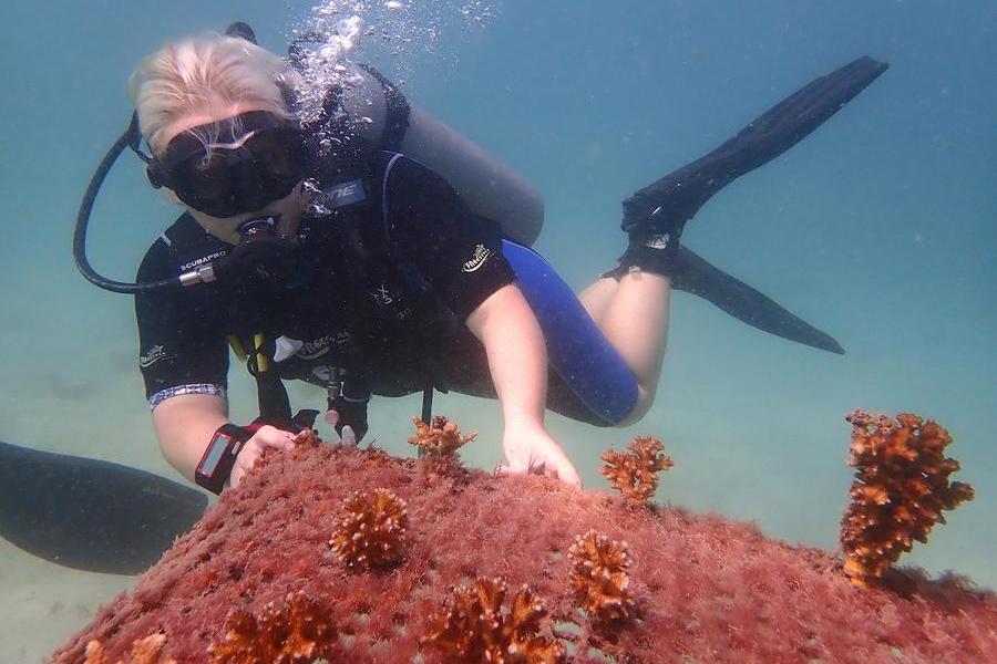 UAE's Zeroe champions ocean conservation with Project REEFrame coral ...