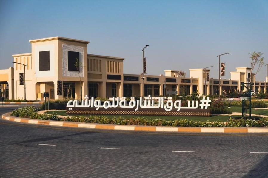 Livestock markets receive nearly 23,000 visitors during Eid Al-Adha