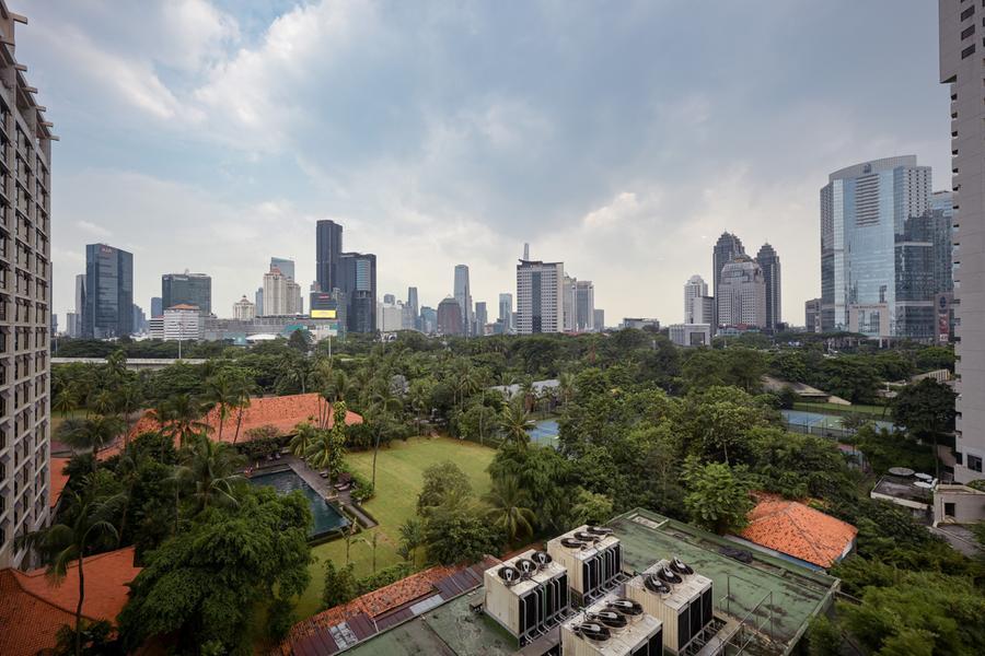 Indonesian economic growth rises to nine-year high
