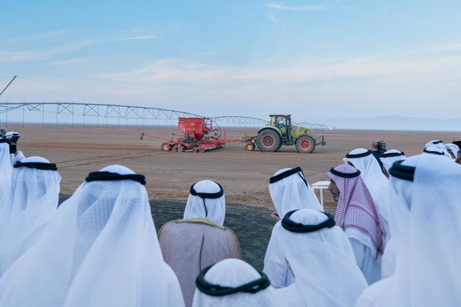 Sharjah Ruler inaugurates wheat farm in Mleiha