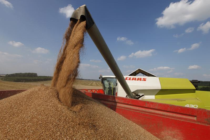 Wheat set for biggest monthly drop in 2 years on harvest pressure
