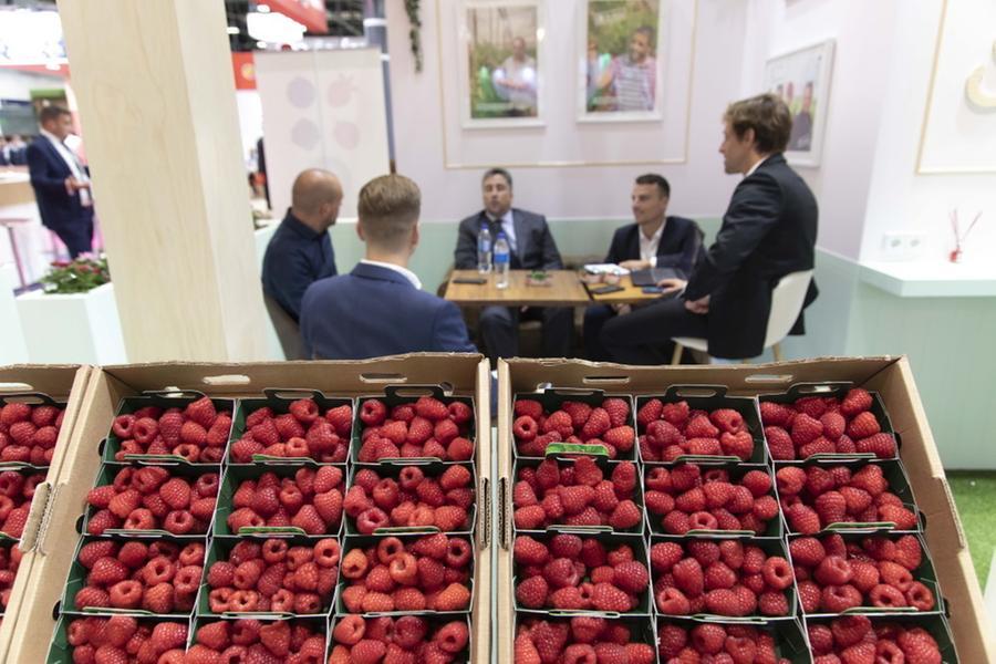 UAE and Saudi Arabian fruit and vegetable professionals conclude ...