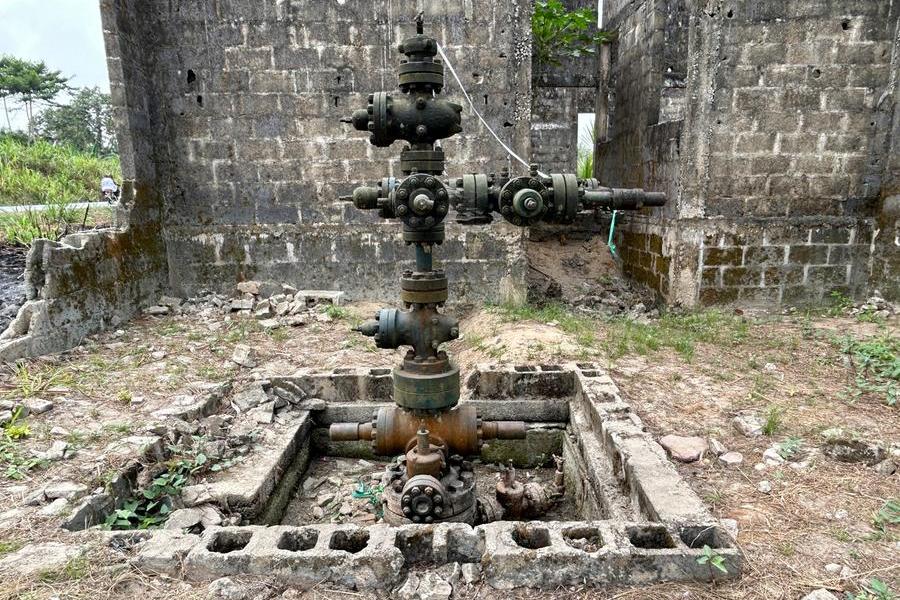 Nigeria: Domestic refining will address fuel scarcity, queues