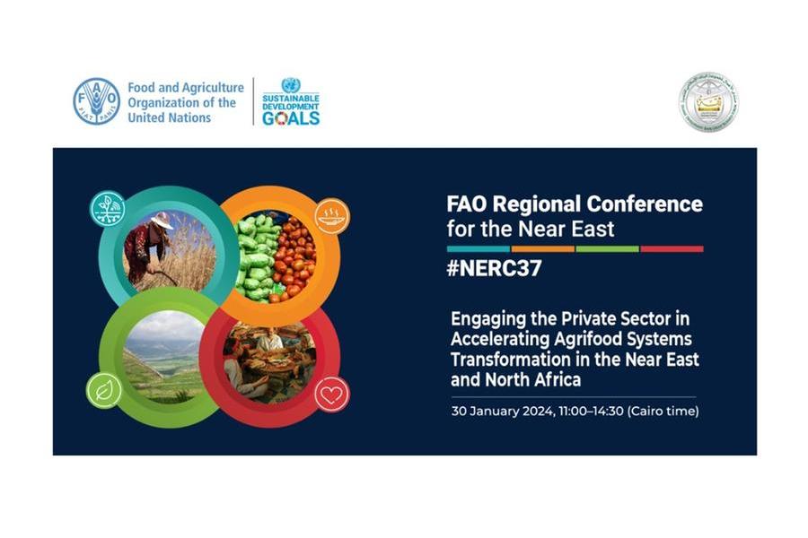 FAO and key private sector players outline roadmap