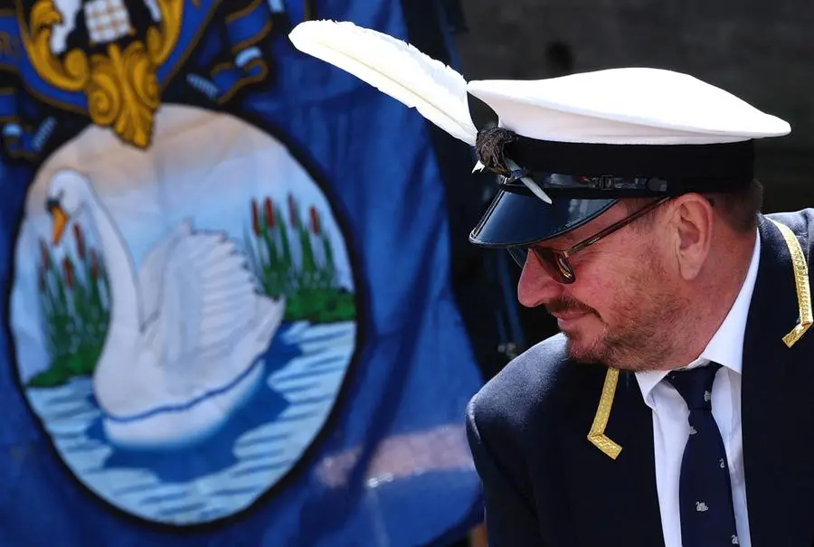 Counting of the swans