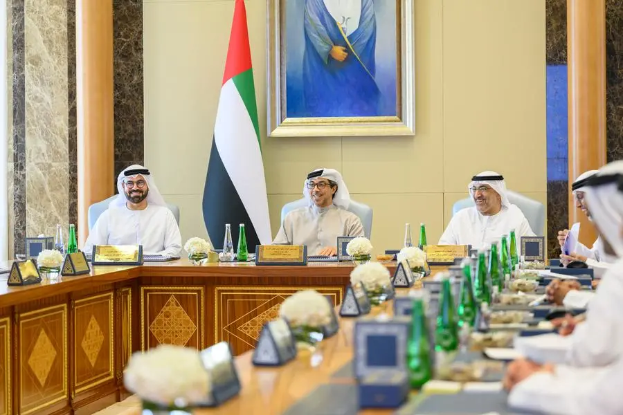 Mansour bin Zayed chairs Ministerial Development Council meeting on ...