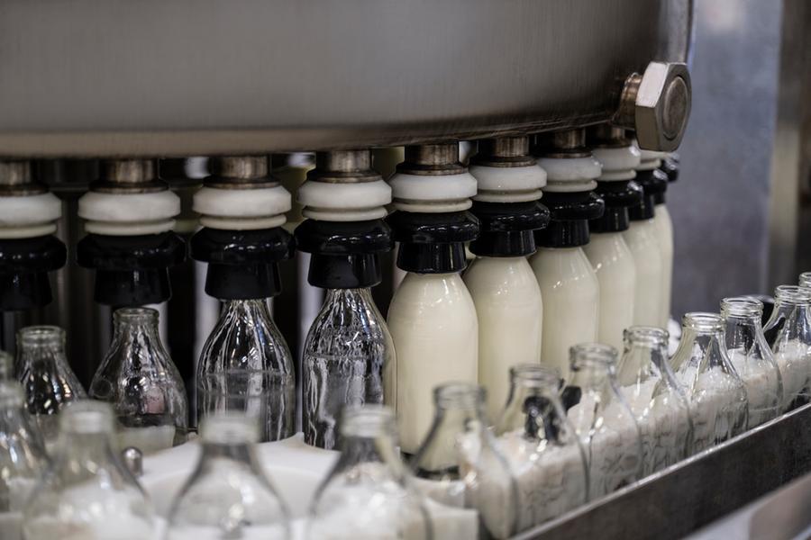 UAE: Mleiha dairy farm to be largest clean milk production project in 3 ...