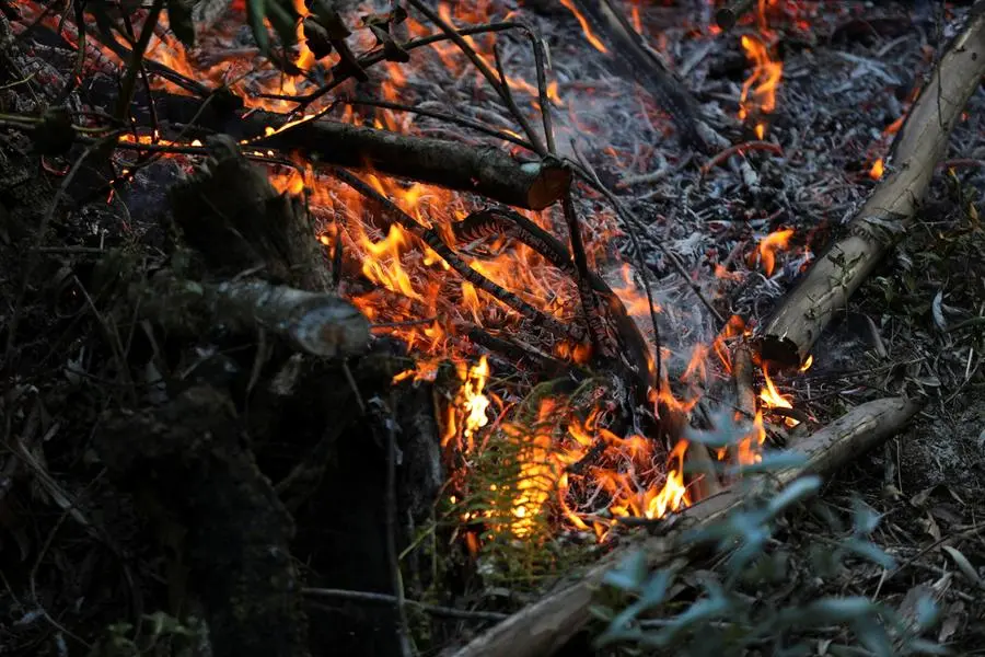 Colombia declares natural disaster over wildfires