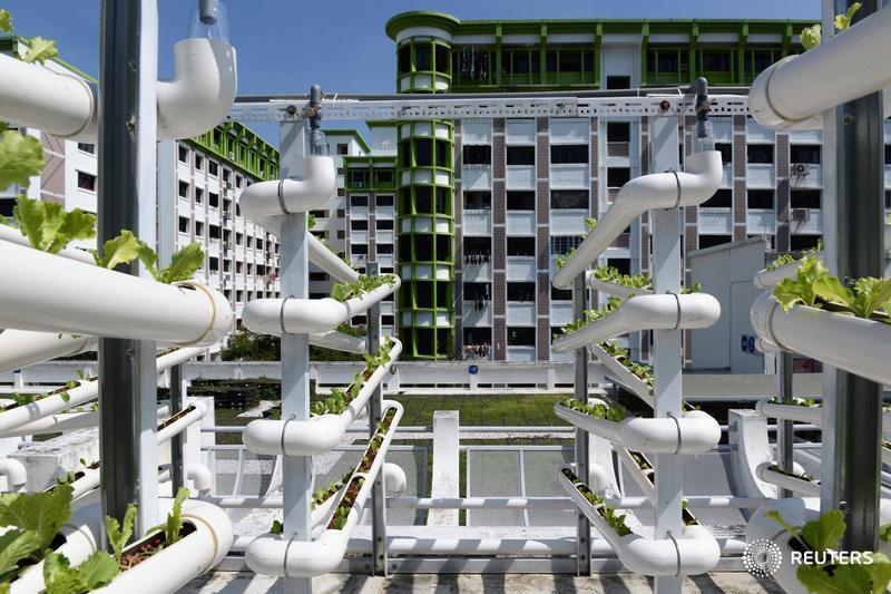 TCI Sanmar’s revenues in Egypt surge 30% in 2021