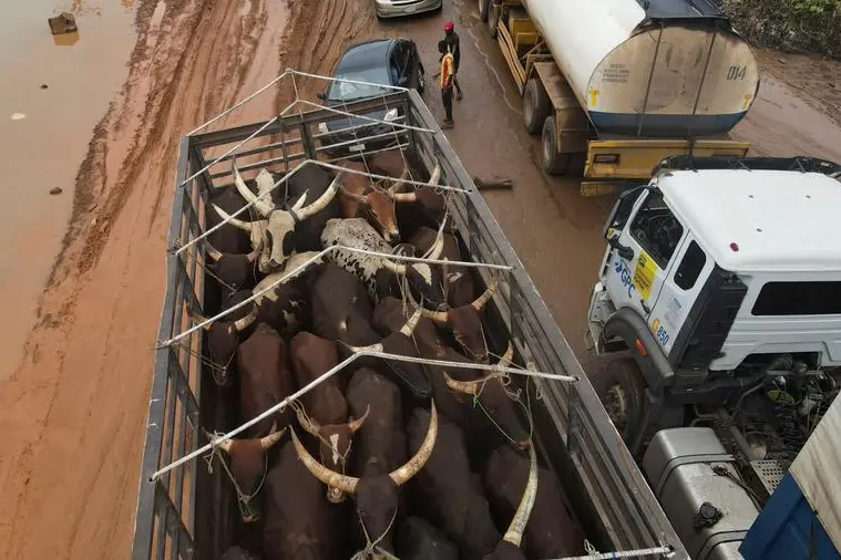 'Colossal' flooding kills hundreds in Nigeria
