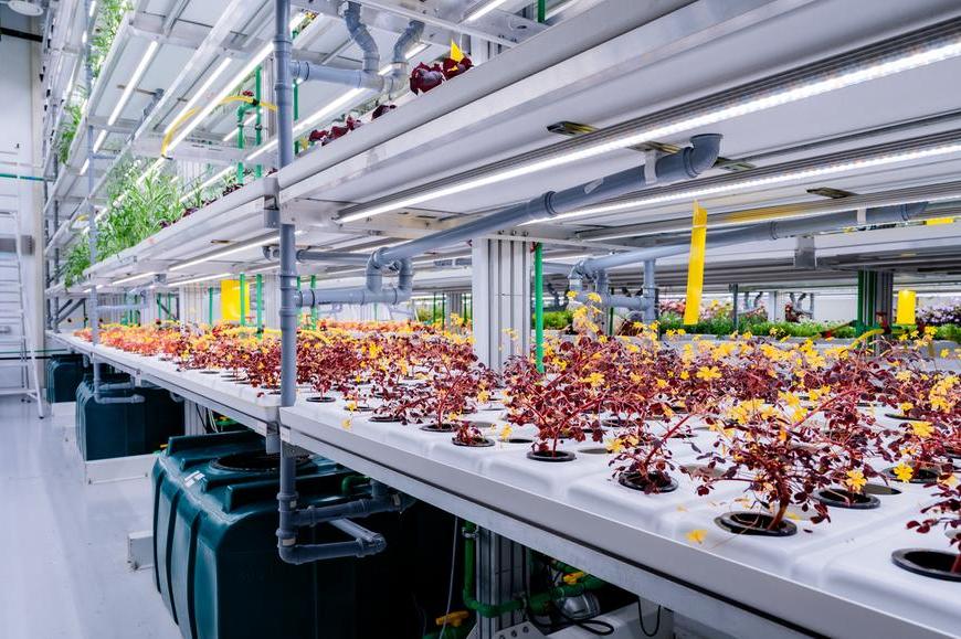 Future Food Foundry makes significant investment in greeneration to ...