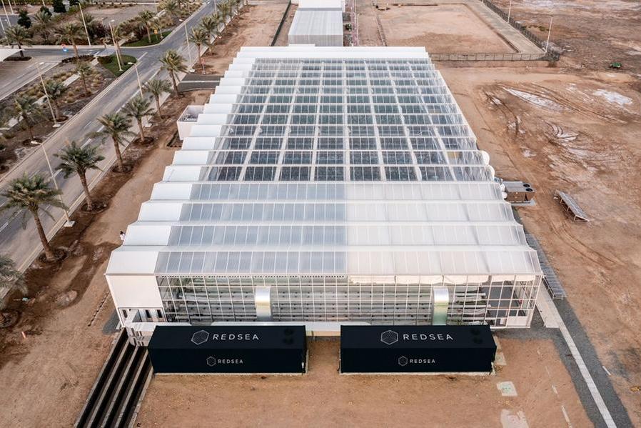 Saudi AgTech RedSea, SDC plan greenhouses in 12 cities