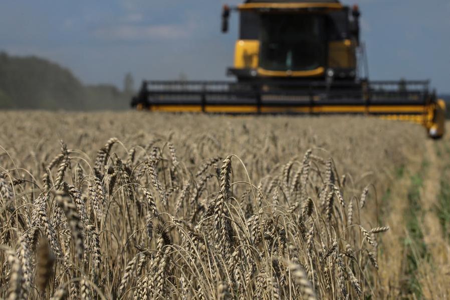 Ukraine completes 2022 wheat, barley harvest -agriculture ministry