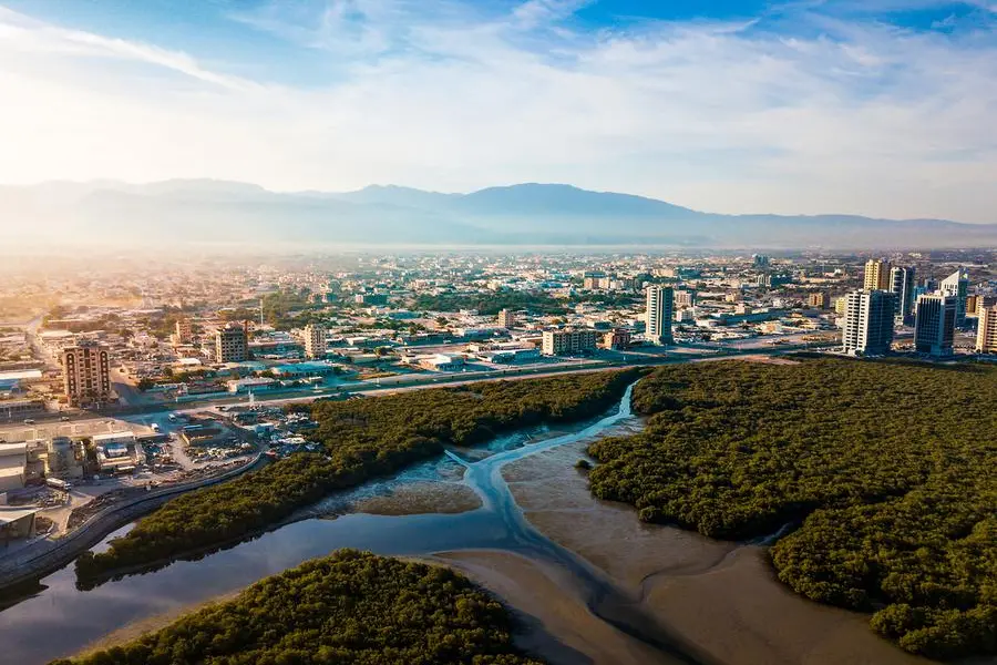 RAK White Cement announces new Chairman, Vice Chairman