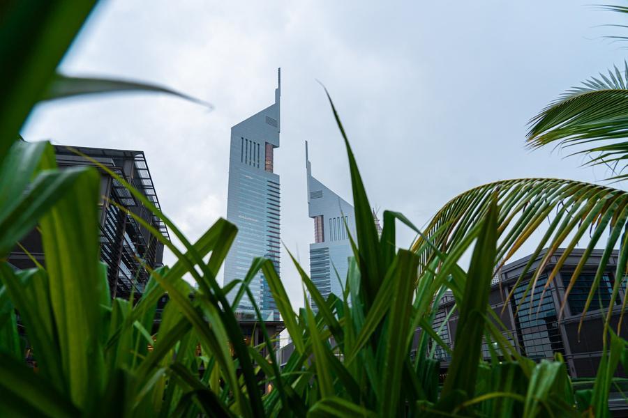 It's freezing! UAE records winter's lowest temperature after 3 days of ...