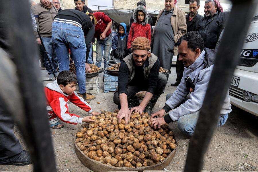 'Treat dipped in blood': Syrians risk their lives for truffles