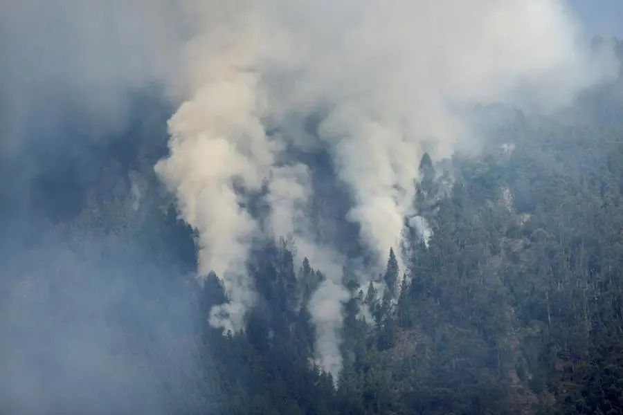 Colombia declares natural disaster over wildfires