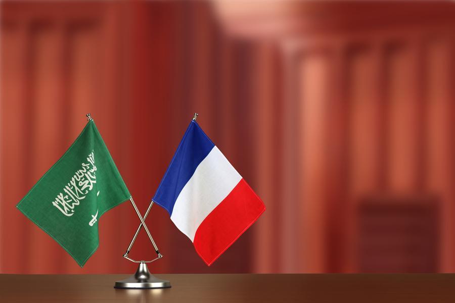 Saudi, French interior ministers sign security cooperation agreement in ...