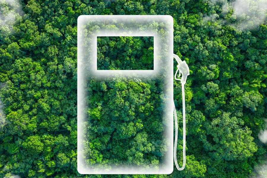 Egypt: Ministry of Petroleum, Honeywell explore green fuel collaboration