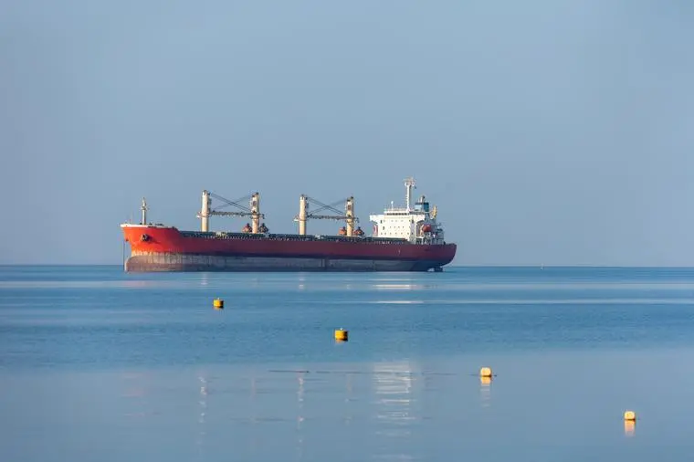 Red Sea crisis: How will it affect global shipping trade?