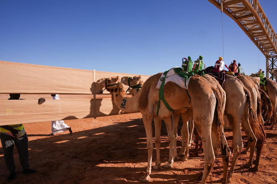 AlUla's 'Ships of the Desert' shine in Saudi Arabia's Year of the Camel