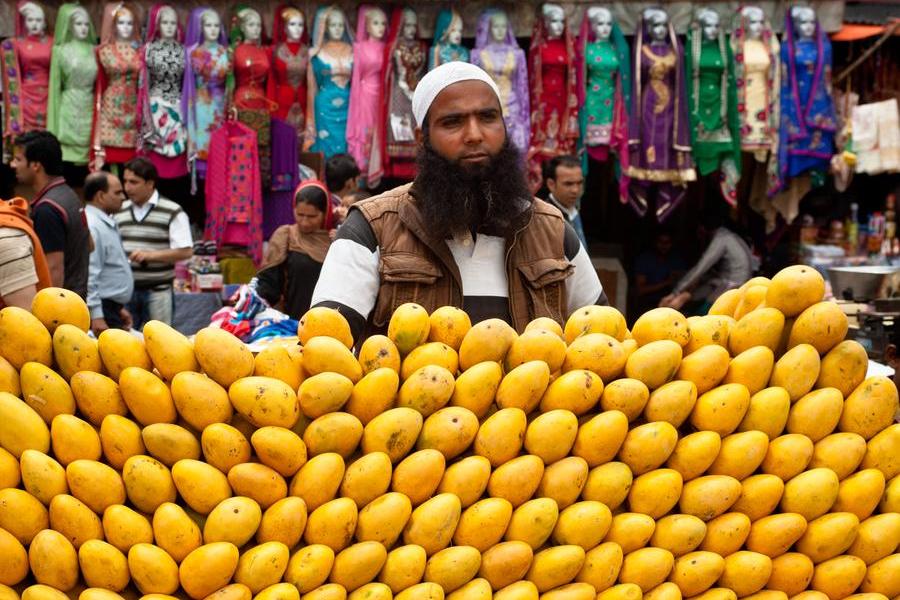 Dubai: Pakistan Mango Festival to be held next week; free entry for ...