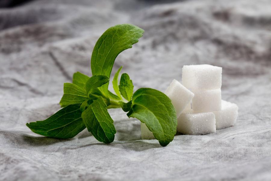 Why Stevia is future of sugar in Nigeria —Expert