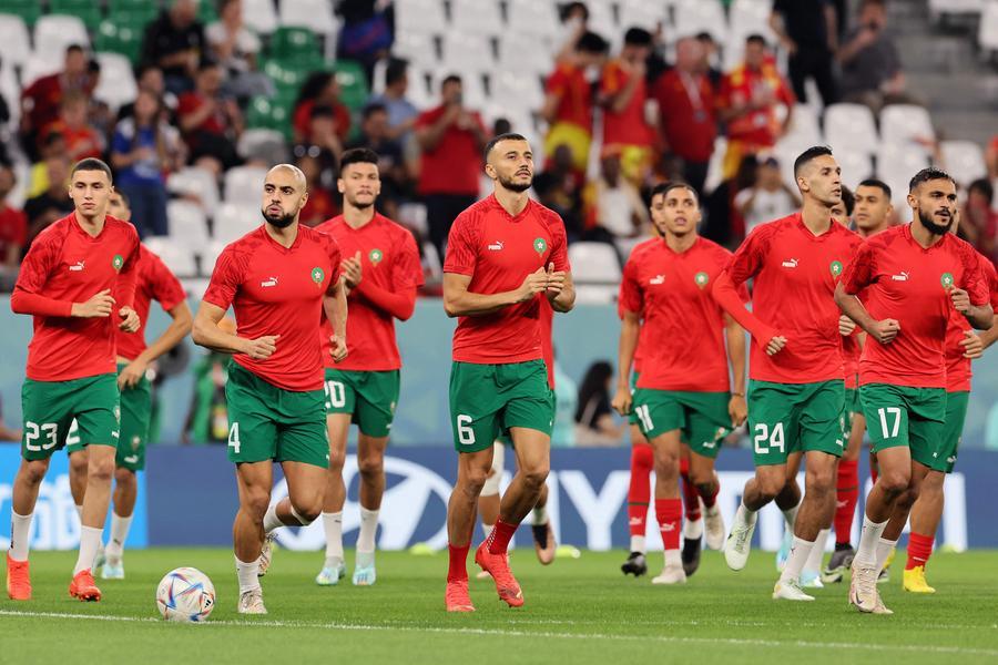 Whole of Africa behind Morocco at World Cup: Regragui