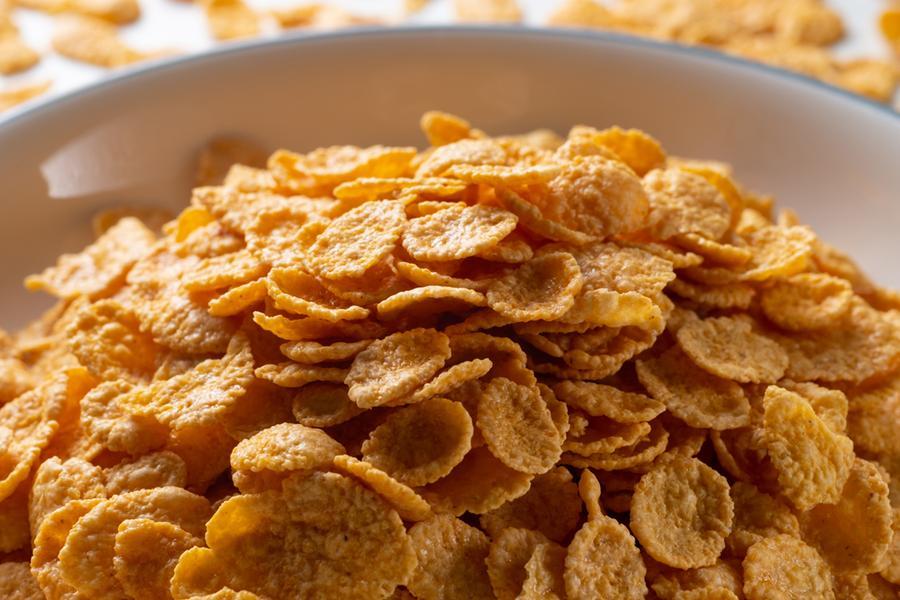 World cereal stocks likely to hit record 897mln tonnes: FAO