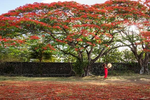 Mauritius meets million milestone