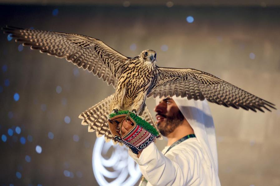 Historic UAE photos, rarest falcons: 9 must-see attractions at Abu ...