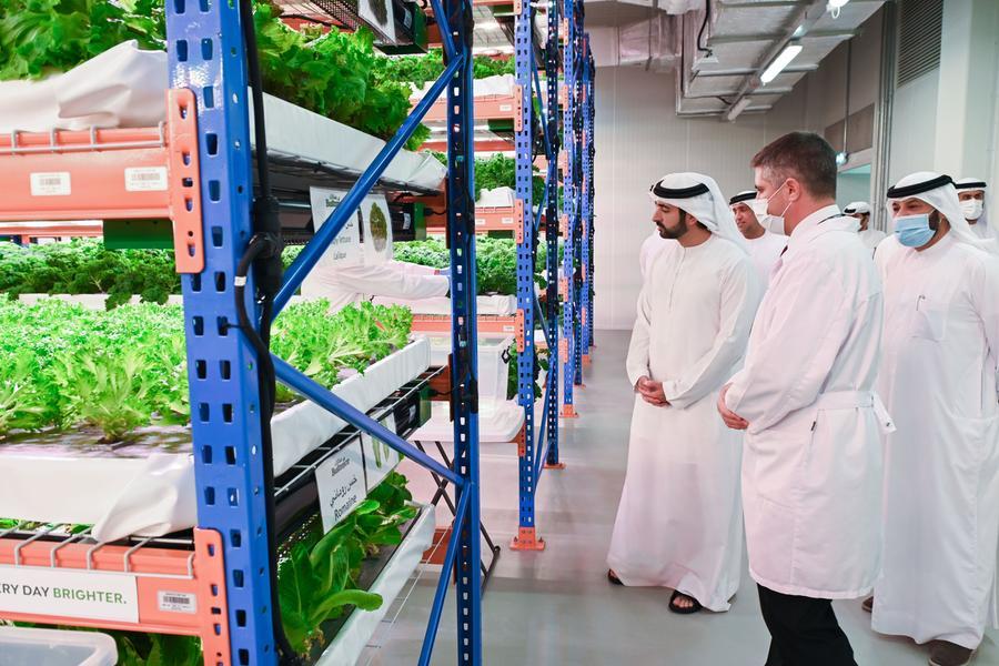 Hamdan bin Mohammed tours Bustanica, world’s largest vertical farm in Dubai