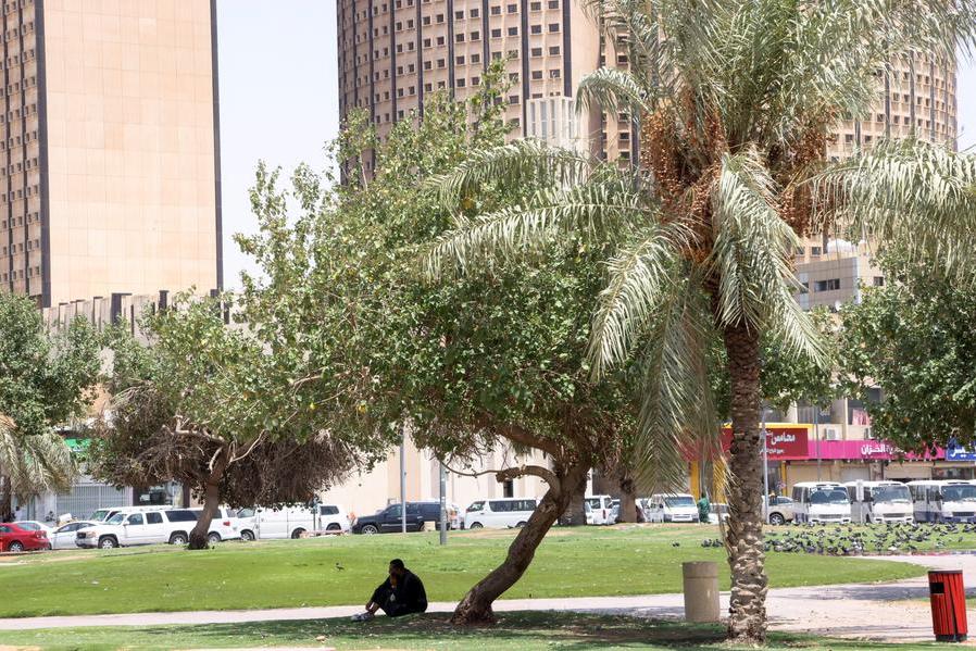 Saudi: NCM launches updated mechanism for early warning of weather ...