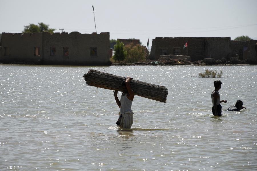 Pakistan: 'Wow Grape' meme to be auctioned as NFT, proceeds donated to ...