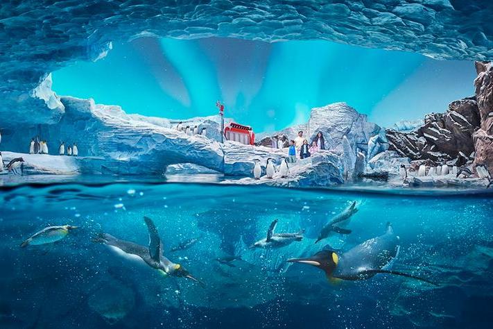 Discover unforgettable adventures at SeaWorld Yas Island, Abu Dhabi
