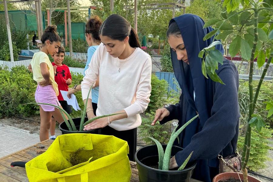 Qatar Sustainability Week 2024 concludes with a record-breaking ...
