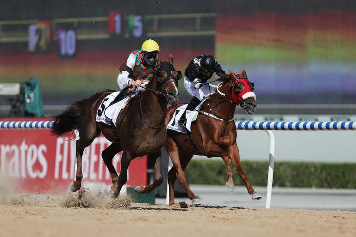 Jebel Ali hosts cracking card with Dubai World Cup implications